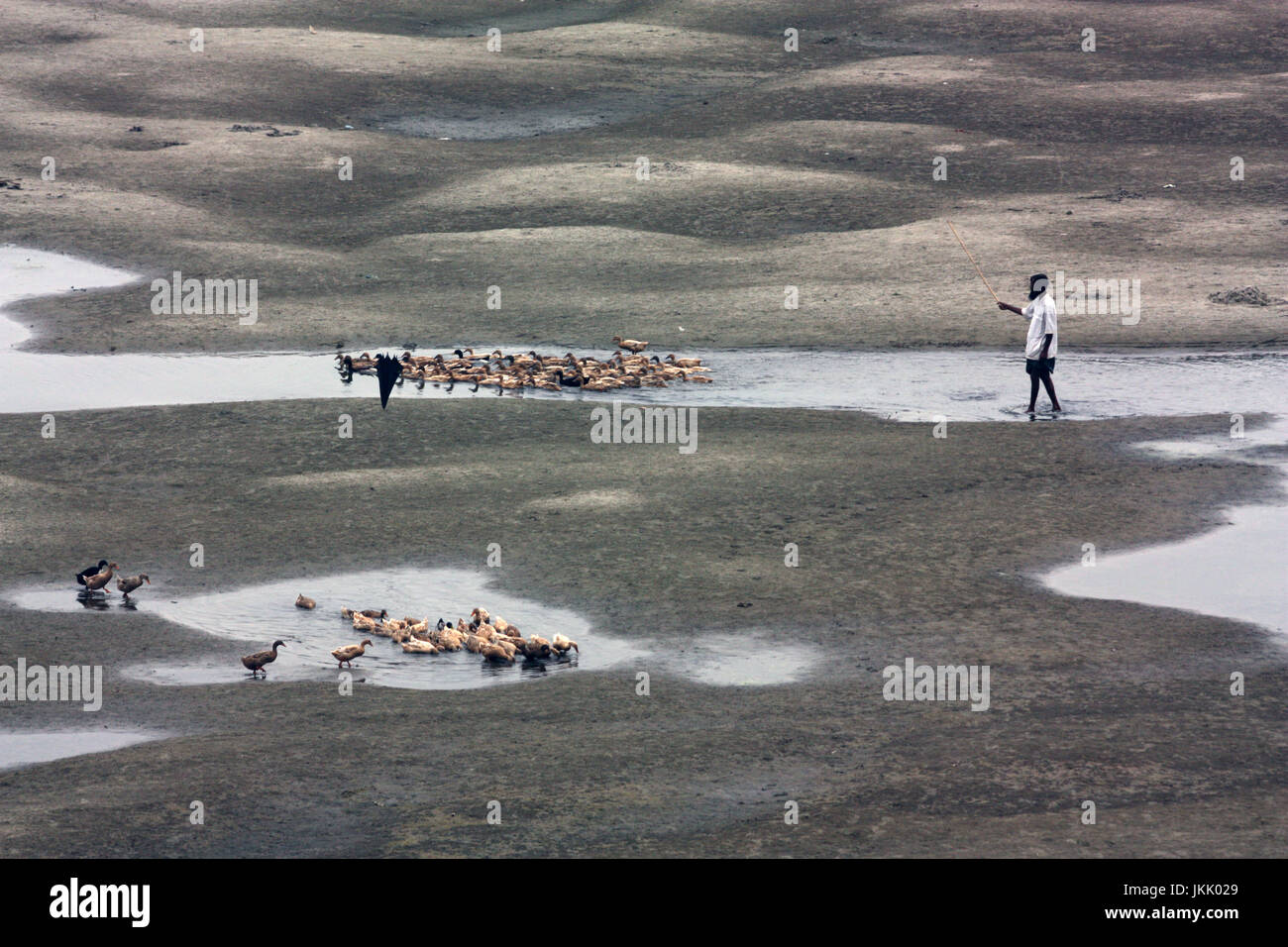 Brahma putra river hi-res stock photography and images - Alamy