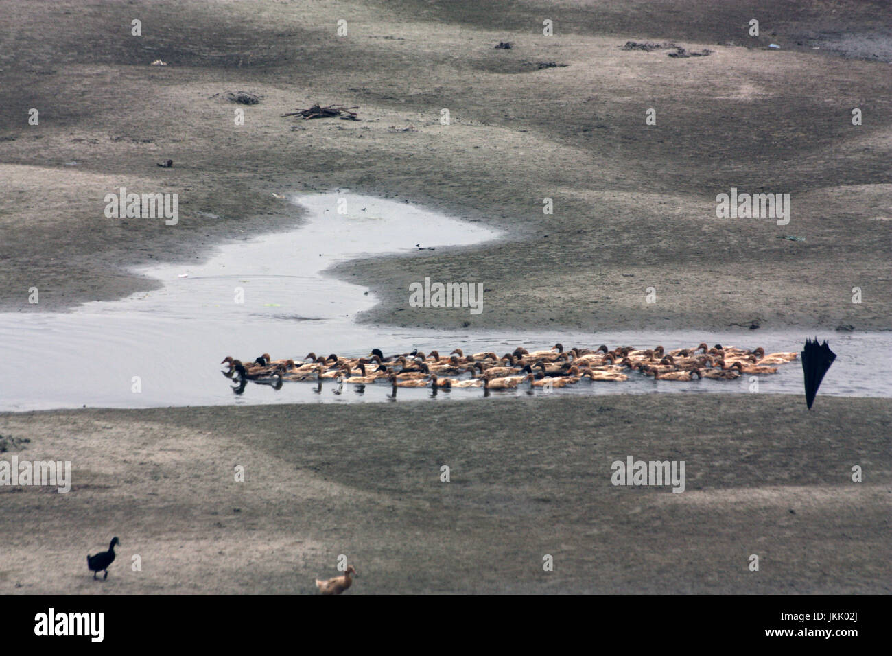 THE WATER LABEL OF BRAHMA PUTRA RIVER OF MYMENSINGH DISTRICT IS VERY ...