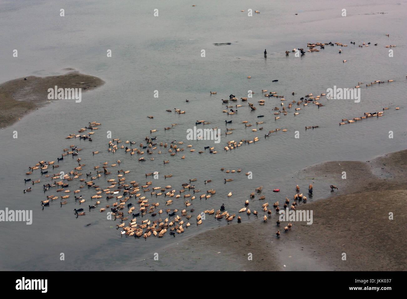 Brahma putra river hi-res stock photography and images - Alamy