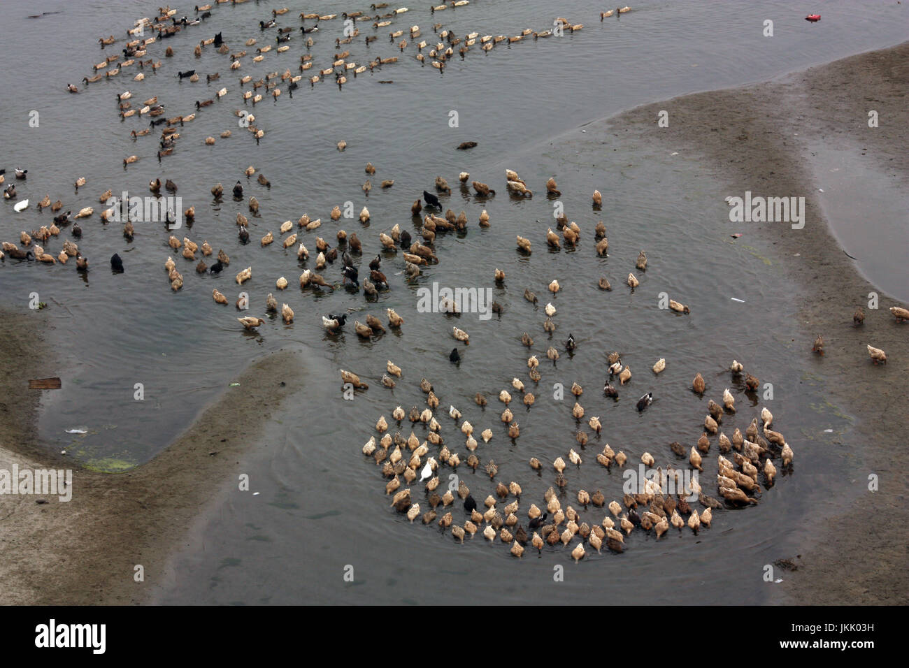 Brahma putra river hi-res stock photography and images - Alamy
