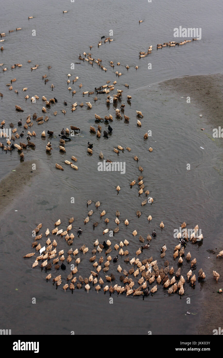 THE WATER LABEL OF BRAHMA PUTRA RIVER OF MYMENSINGH DISTRICT IS VERY ...