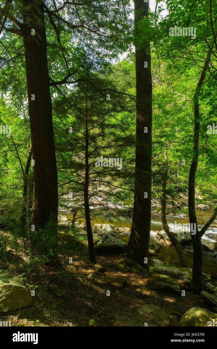 Tellico River, Cherokee National Forest, TN Stock Photo - Alamy