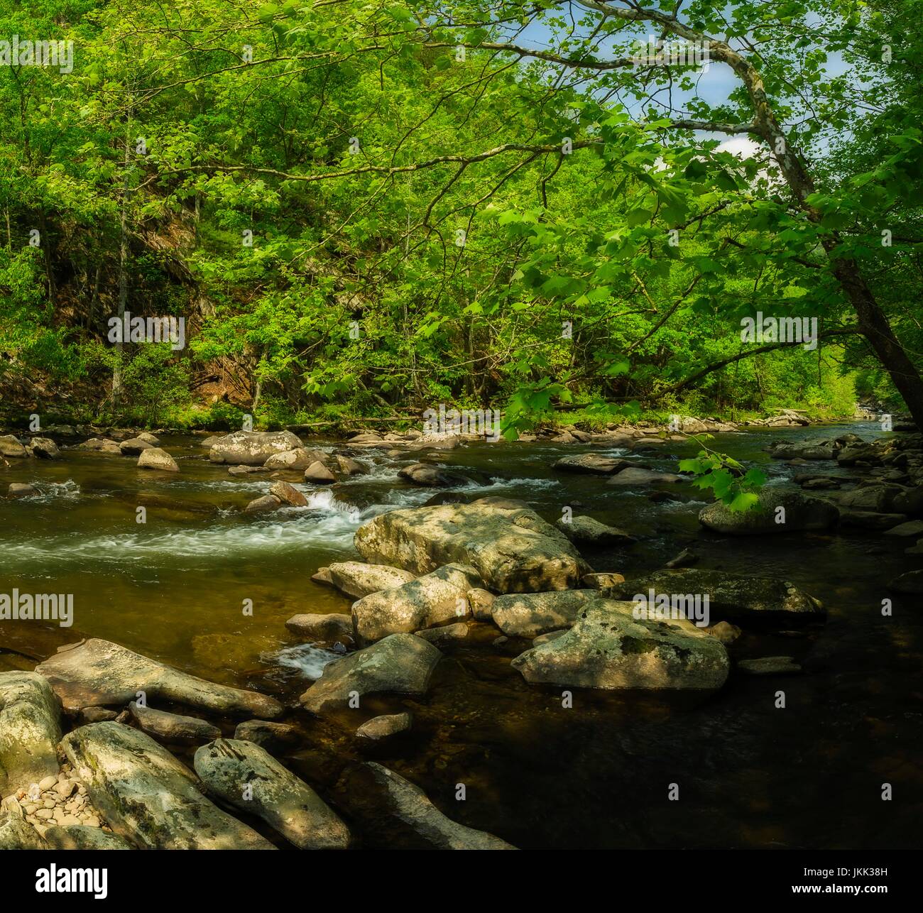 Tellico River, Cherokee National Forest, TN Stock Photo - Alamy