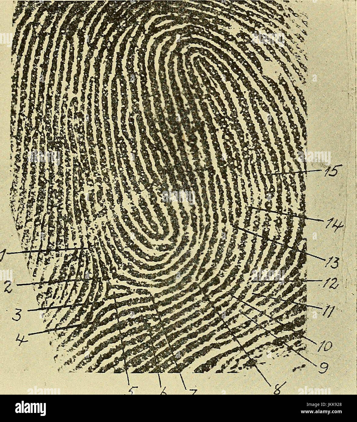 "Personal identification; methods for the identification of individuals ...