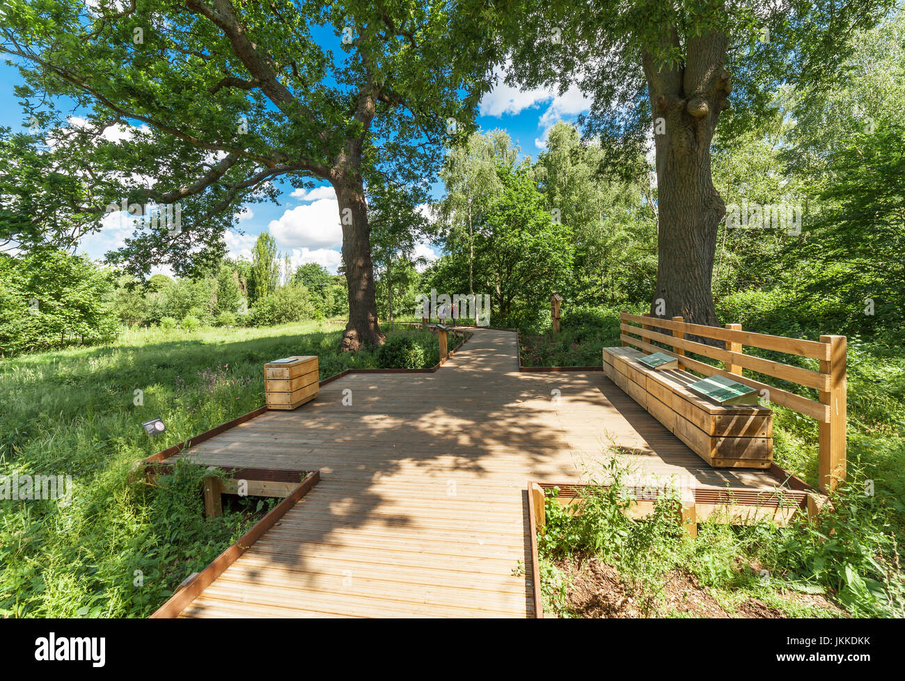 Kew Gardens woodland boardwalk Stock Photo - Alamy