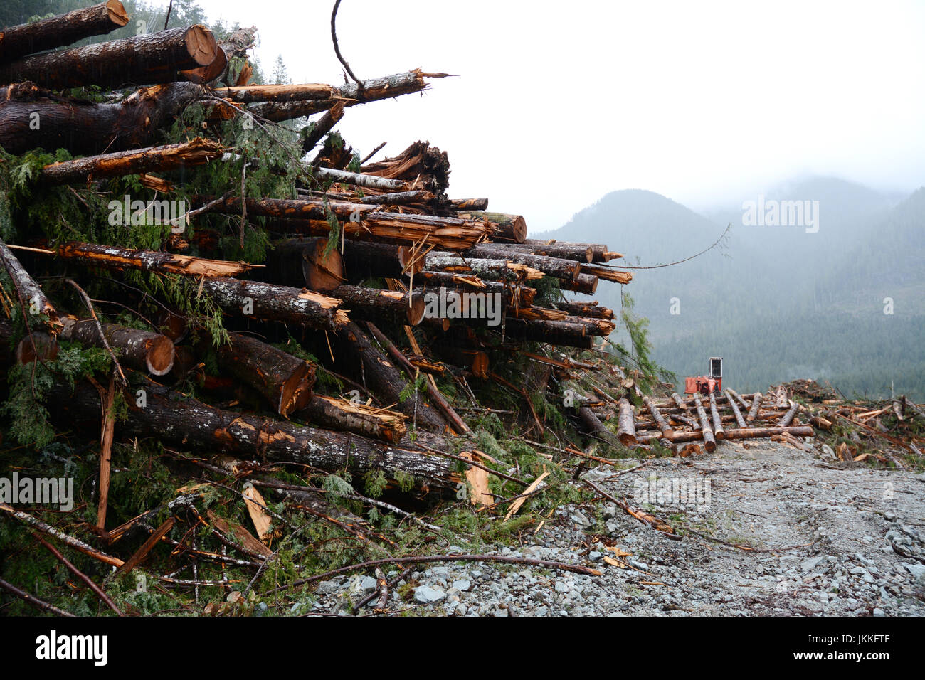 Logged out hi-res stock photography and images - Alamy