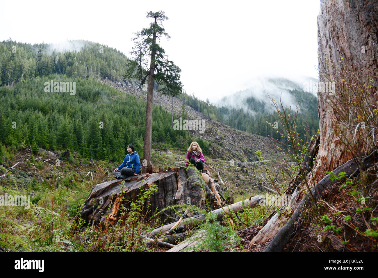 Canadian environmentalists on a tree stump near "Big Lonely Doug" - a ...