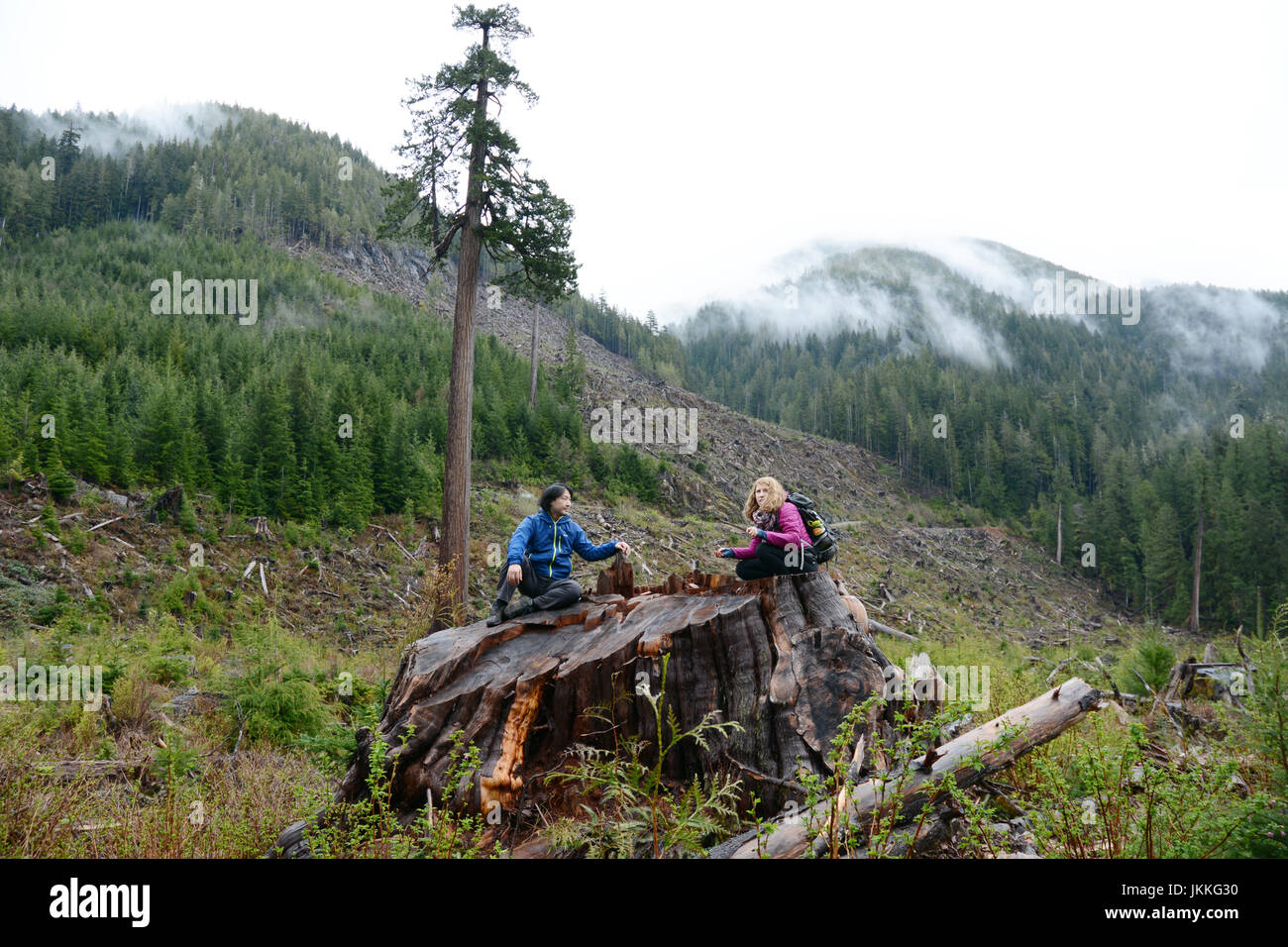 Canadian environmentalists on a tree stump near "Big Lonely Doug" - a ...