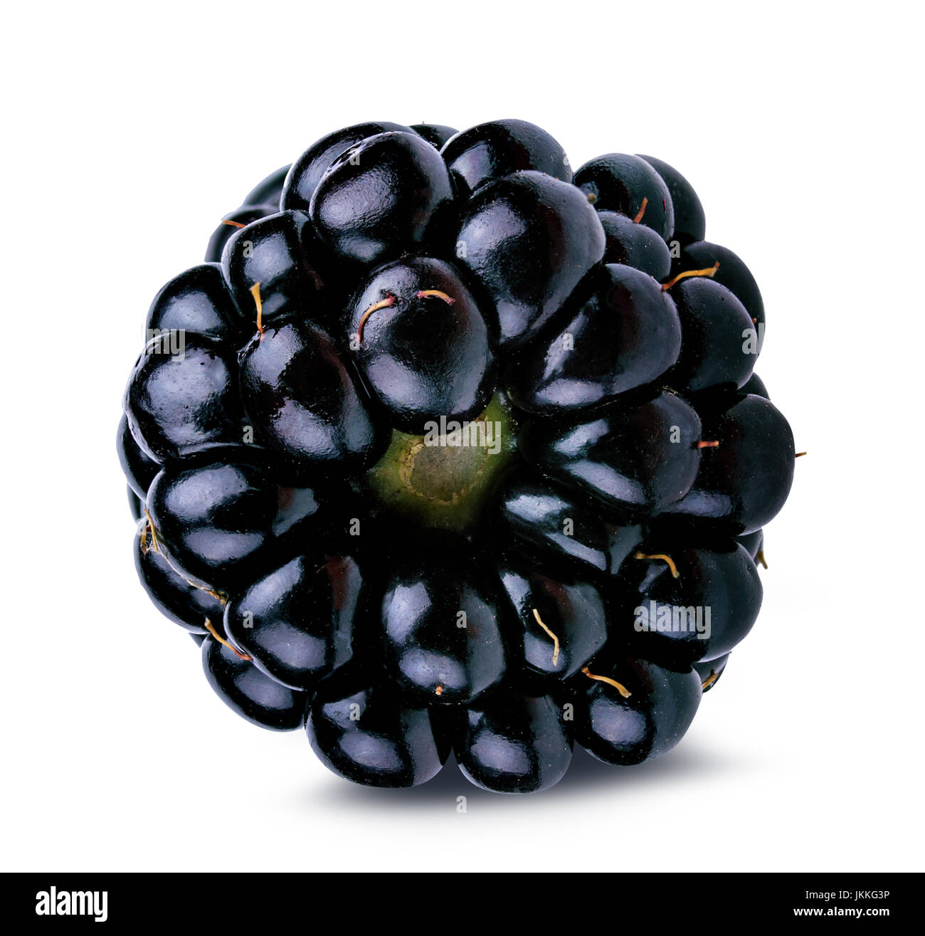 Wild blackberry spring hi-res stock photography and images - Alamy