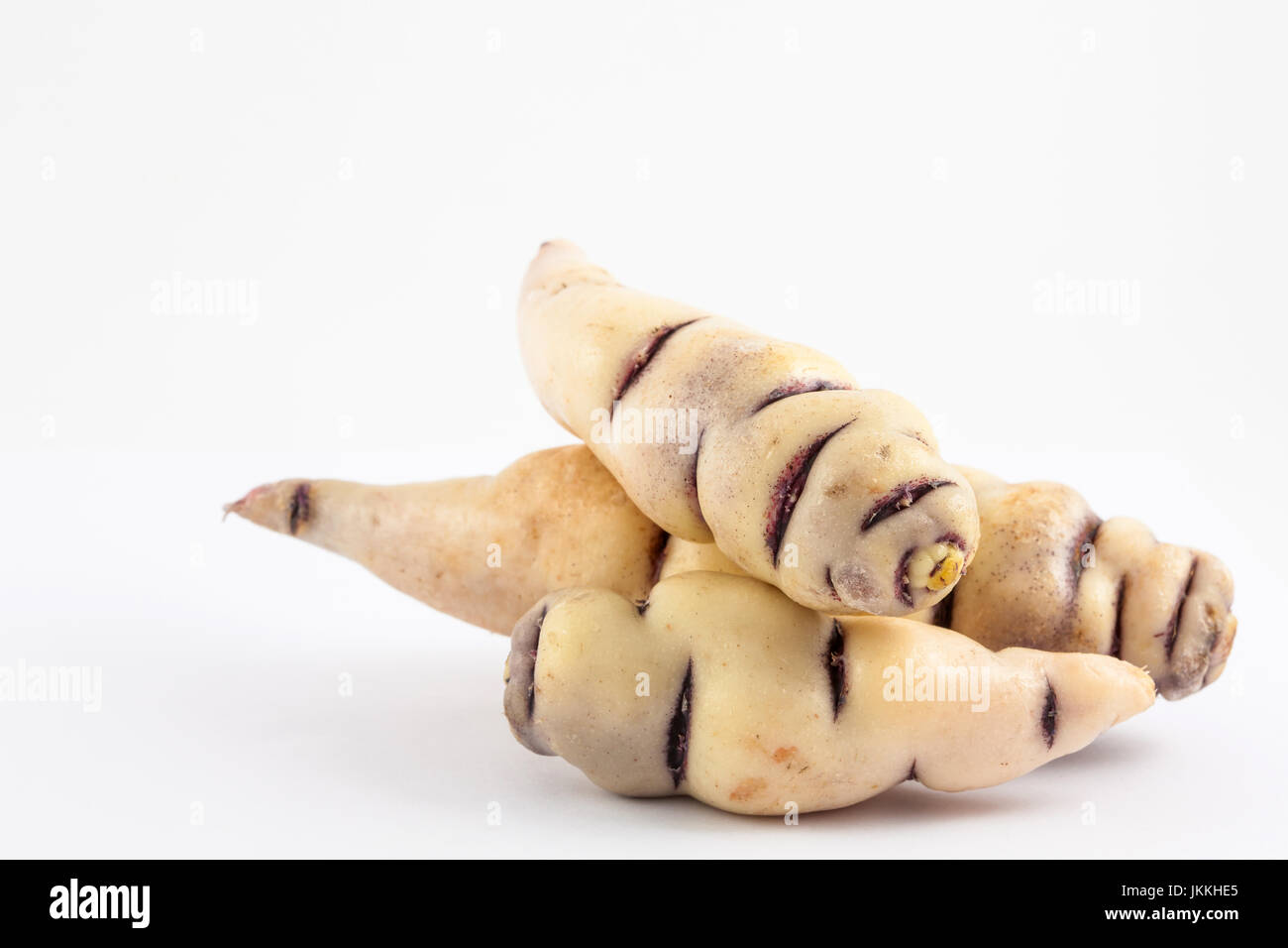 Cubios (Tropaeolum tuberosum) isolated on white background Stock Photo ...