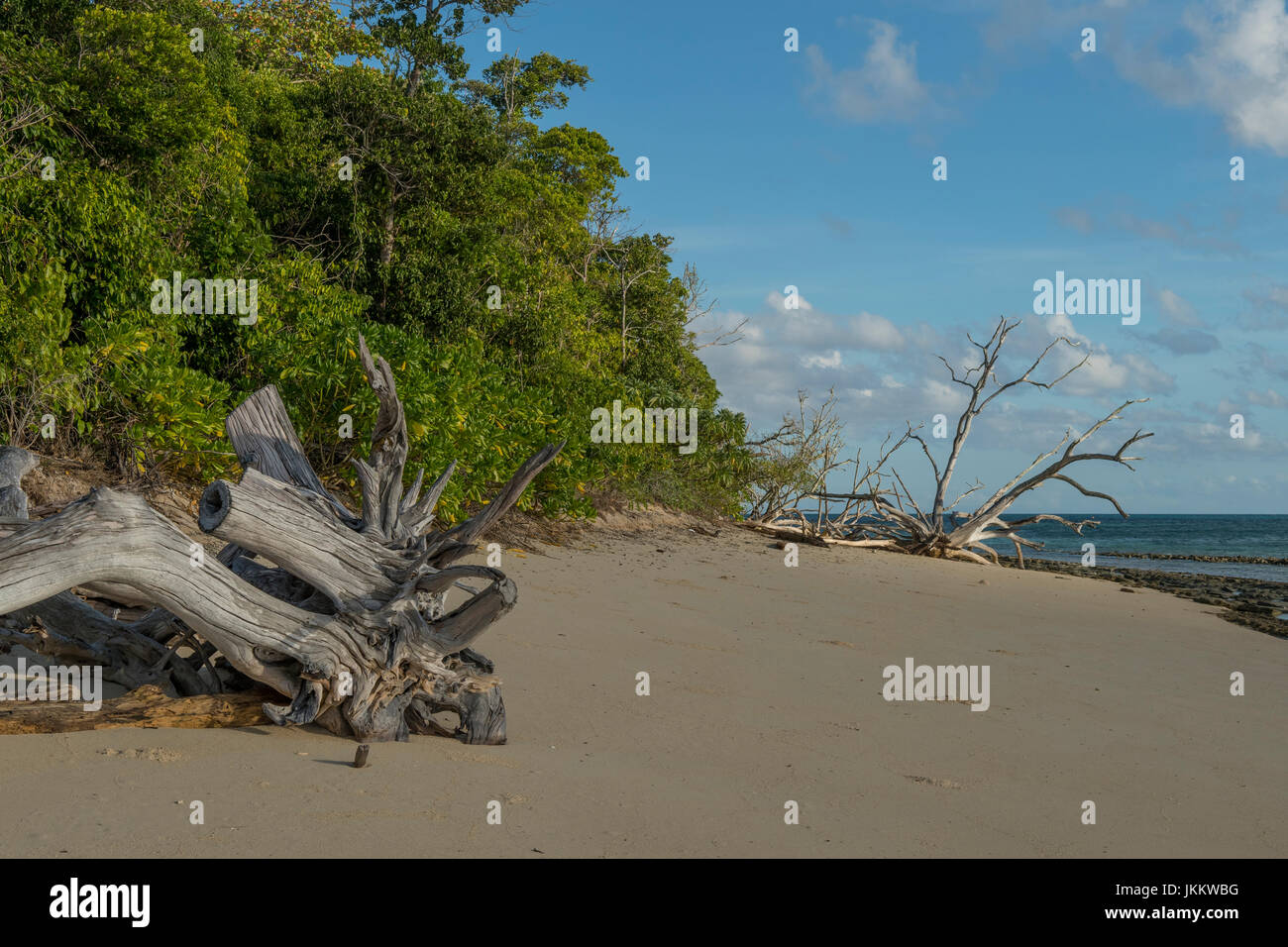 Green island hi-res stock photography and images - Alamy
