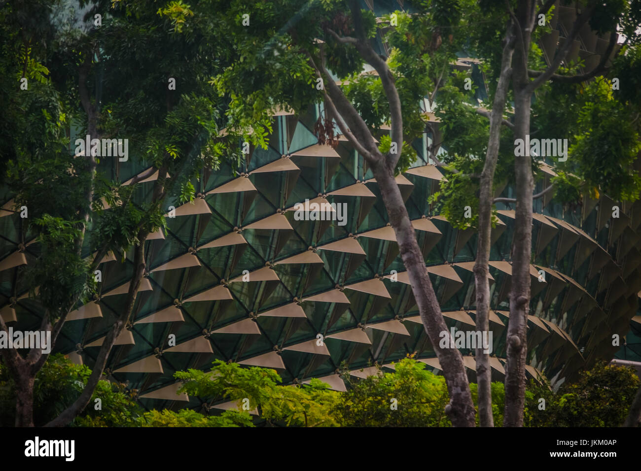 Building behind trees hi-res stock photography and images - Alamy