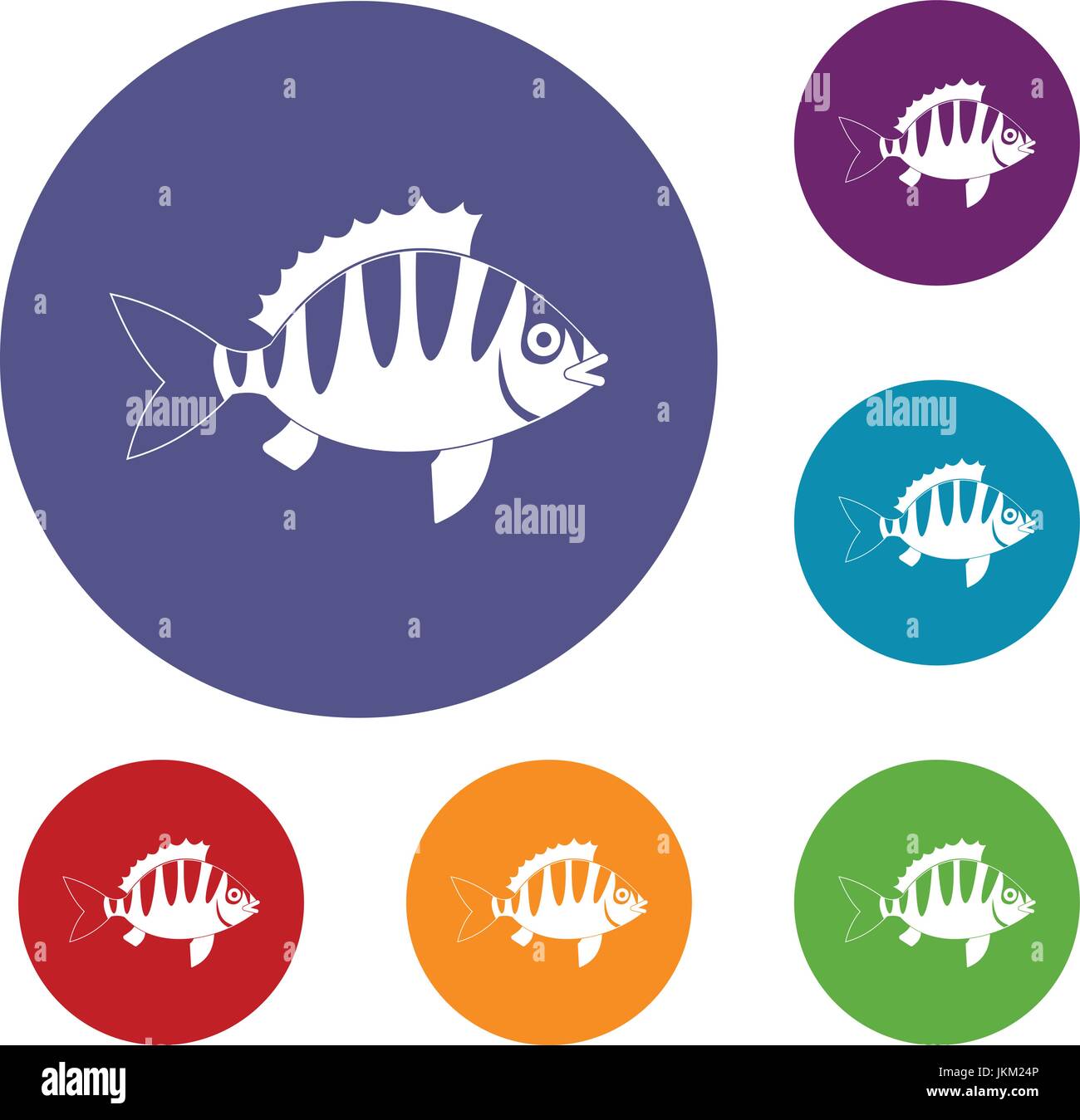 Striped sea perch Stock Vector Images - Alamy