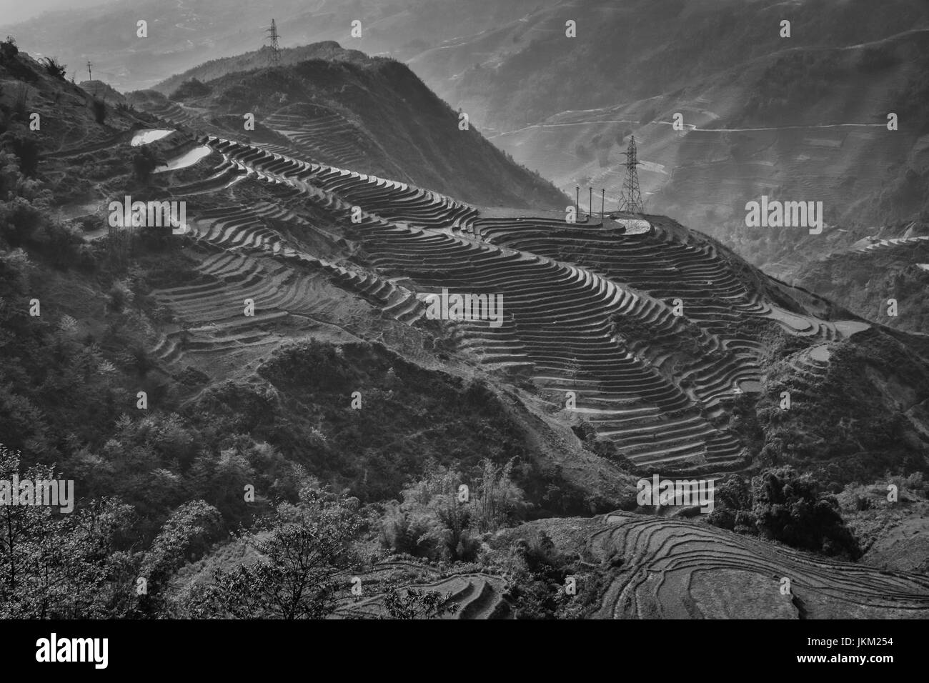 Rice fields around Sapa, Vietnam - April 2017 Stock Photo - Alamy