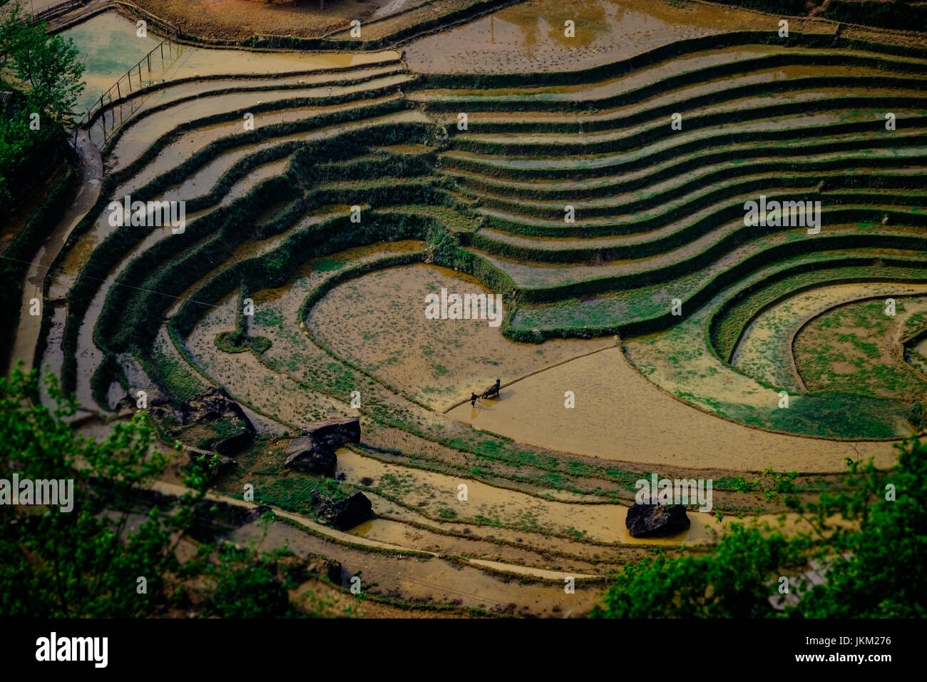 Rice fields around Sapa, Vietnam - April 2017 Stock Photo - Alamy