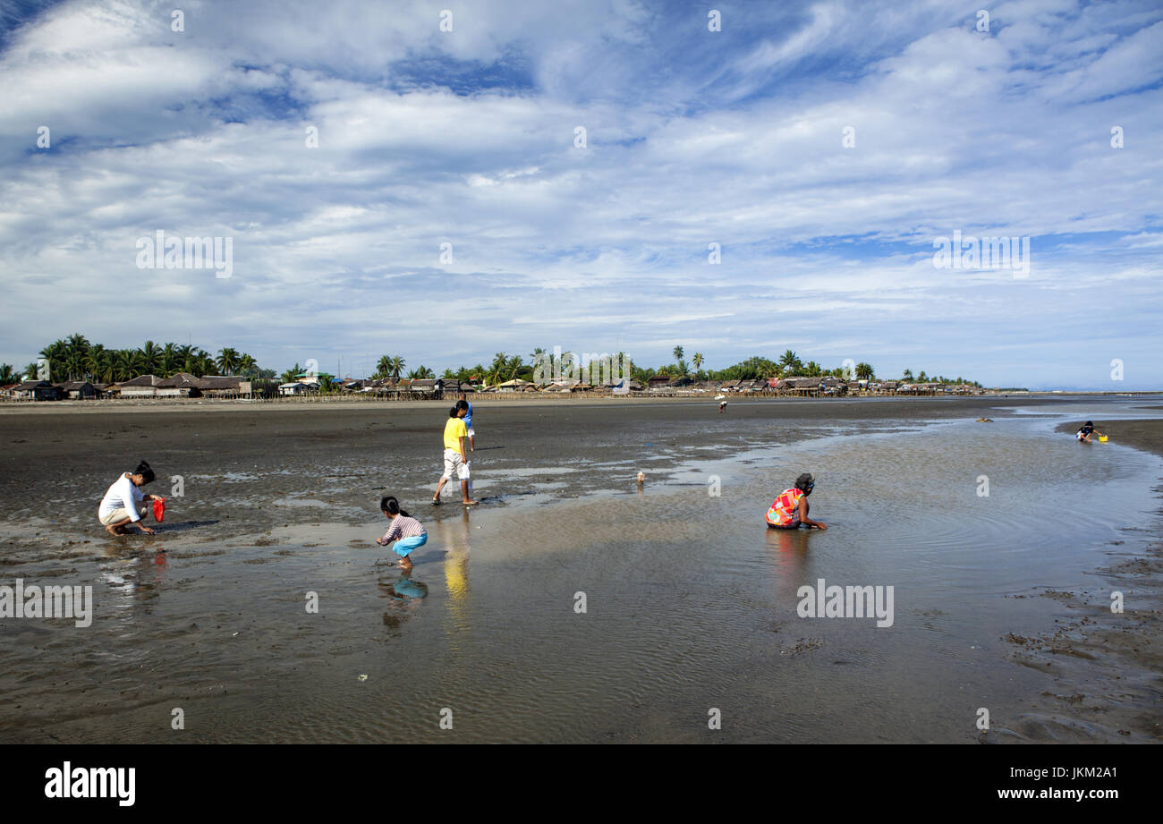Members of a seaside fishing village dig in the sand collecting ...
