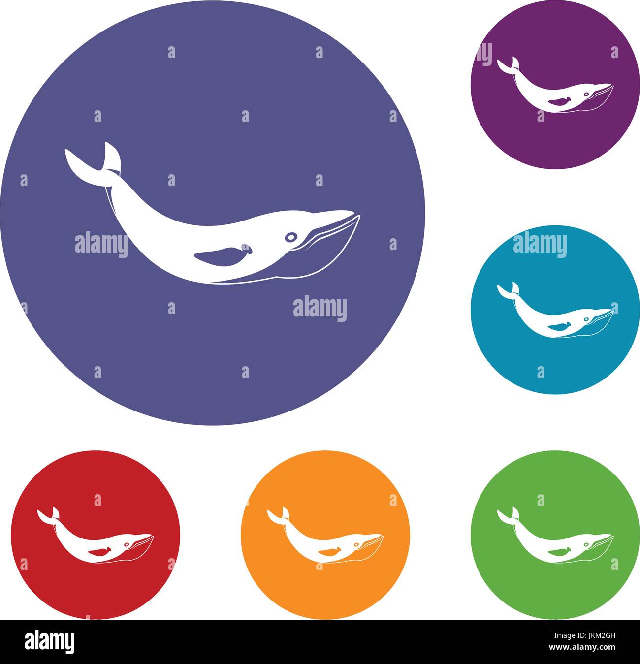 Whale migration Stock Vector Images - Alamy