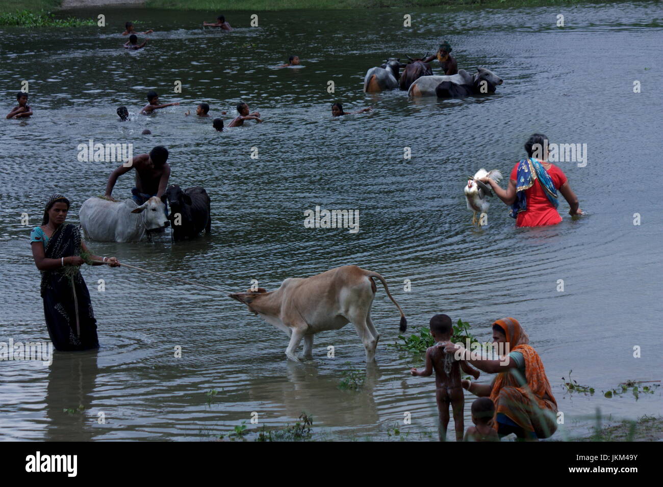 the nature and life diversity of monsoon with childhood spirit and ...