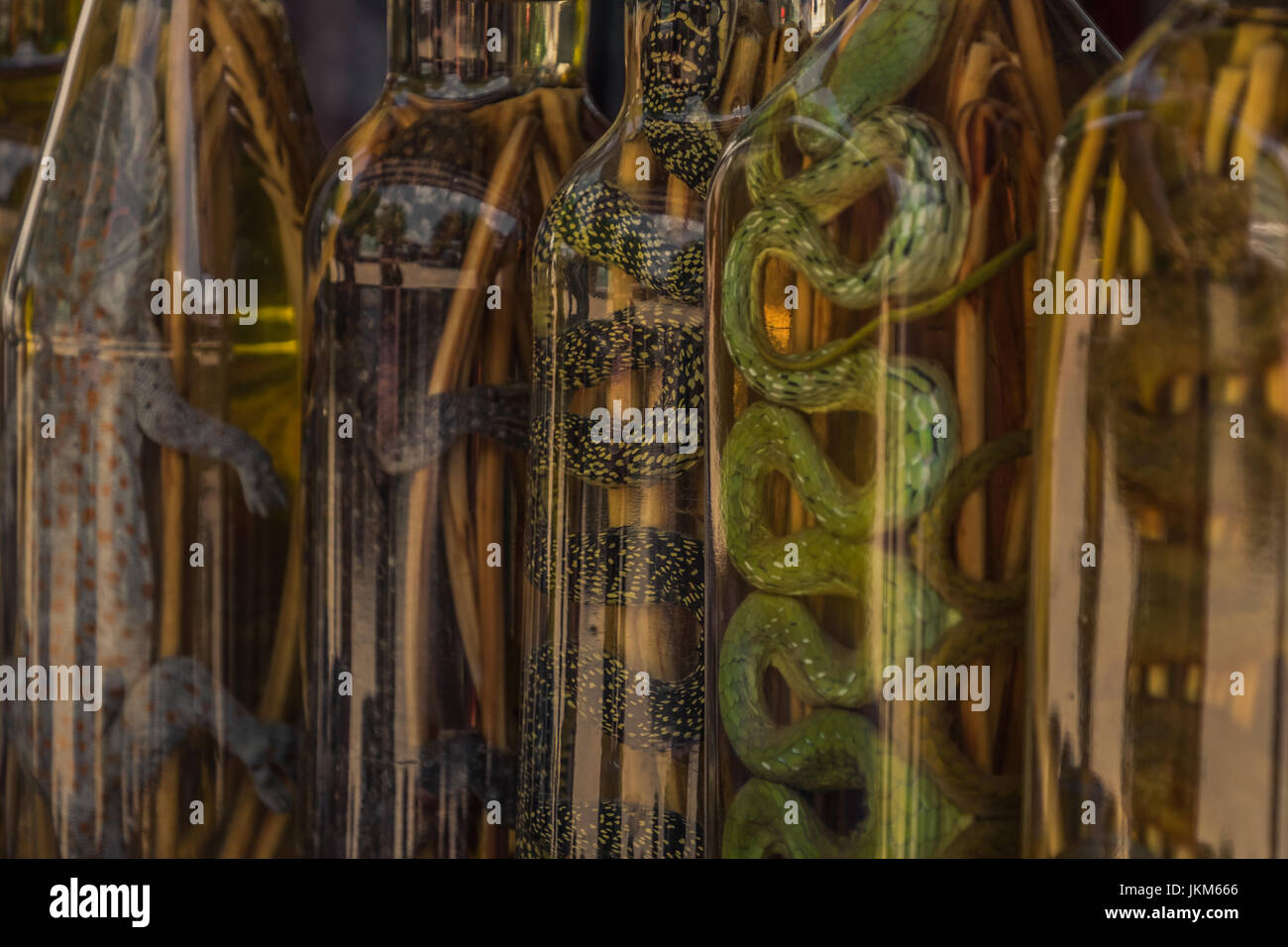 Snakes in bottles hi-res stock photography and images - Alamy