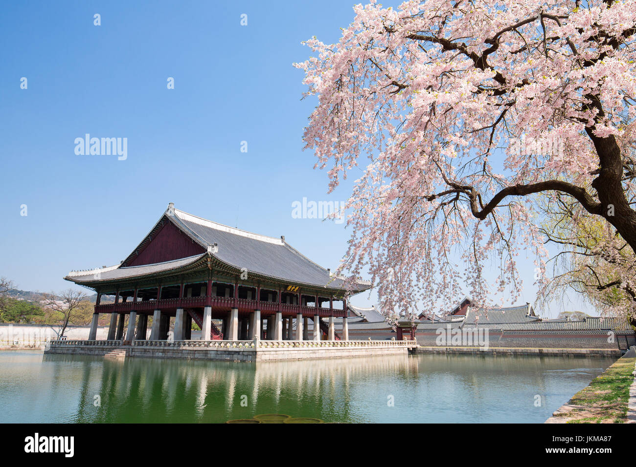 Spring in korea hi-res stock photography and images - Alamy