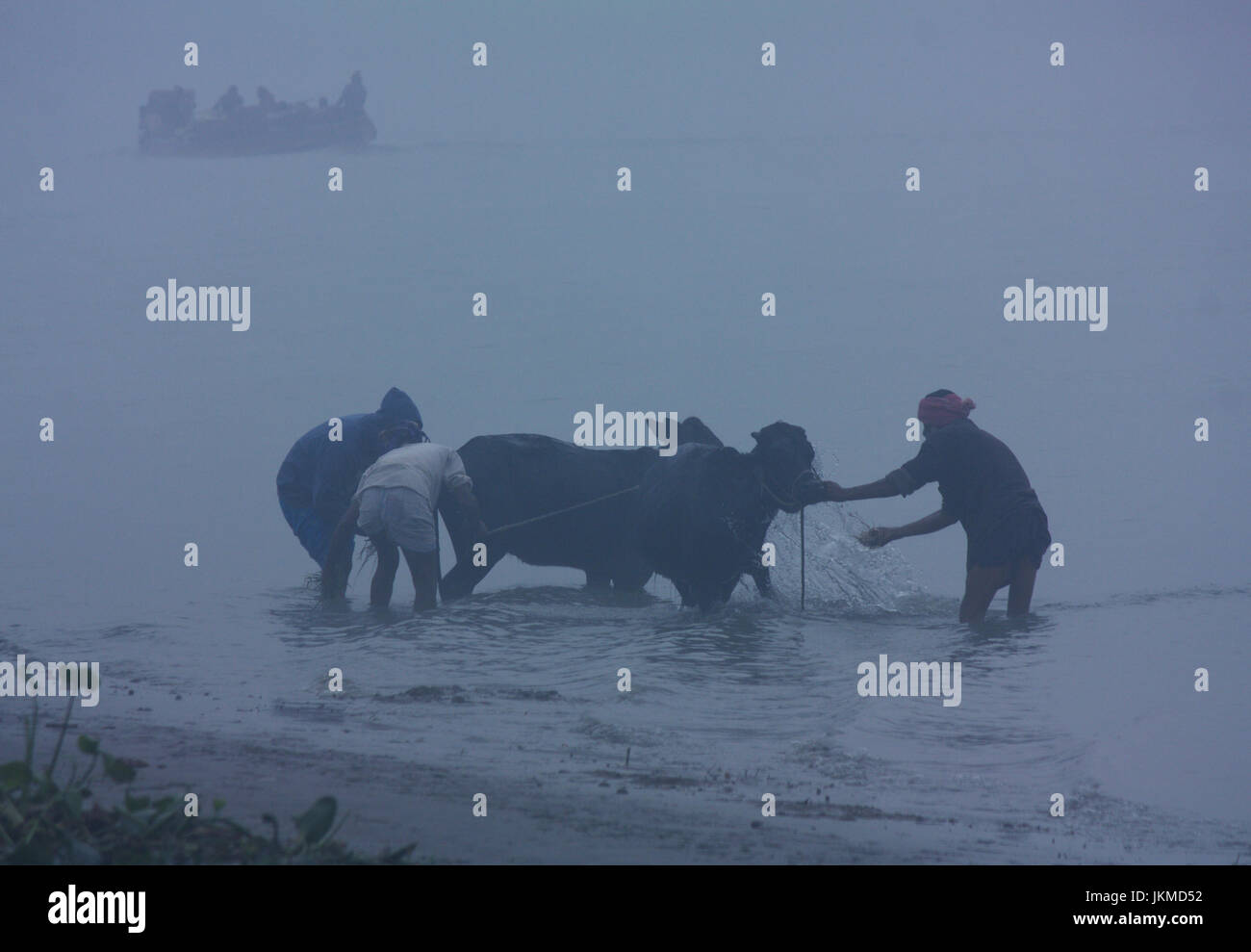 abdulla pur by the river bank of munshigonj district is abautiful area ...