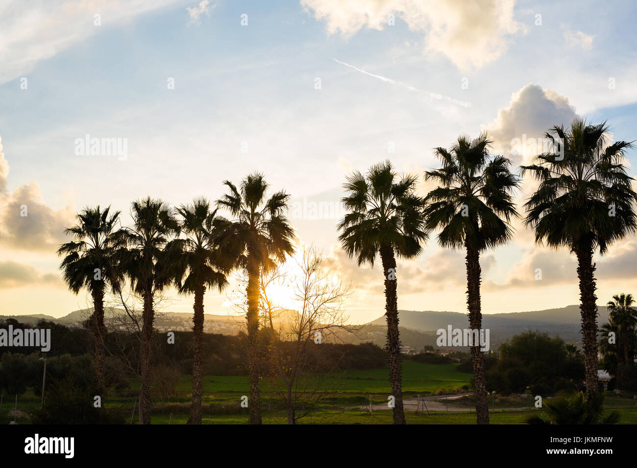 Row palm trees mountains hi-res stock photography and images - Alamy