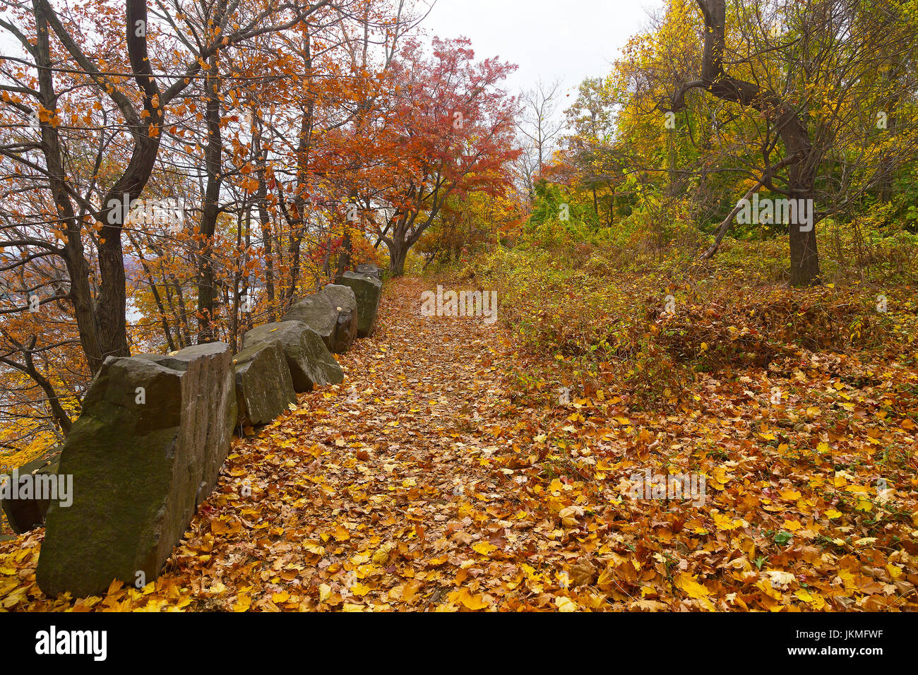 A pathway in a forest along high river bank in the autumn. A walkway ...