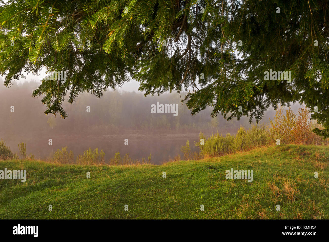 Scenic forest landscape with a large natural green archway composed of ...