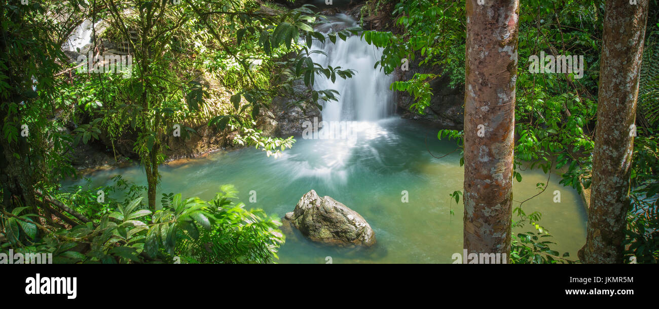 Rainforest waterfall hi-res stock photography and images - Alamy