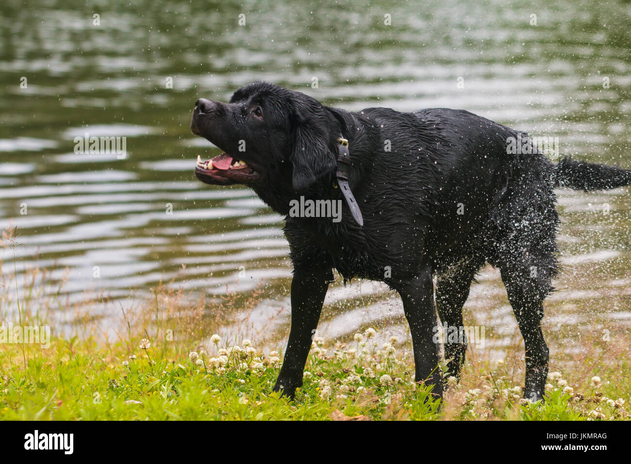 Inletlake hi-res stock photography and images - Alamy