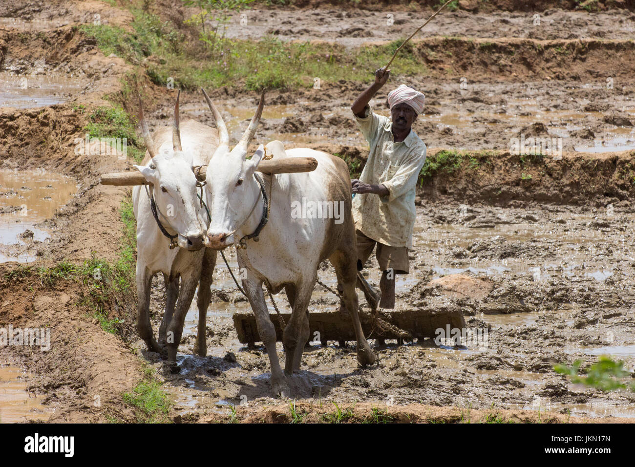 Integrated farming system hi-res stock photography and images - Alamy