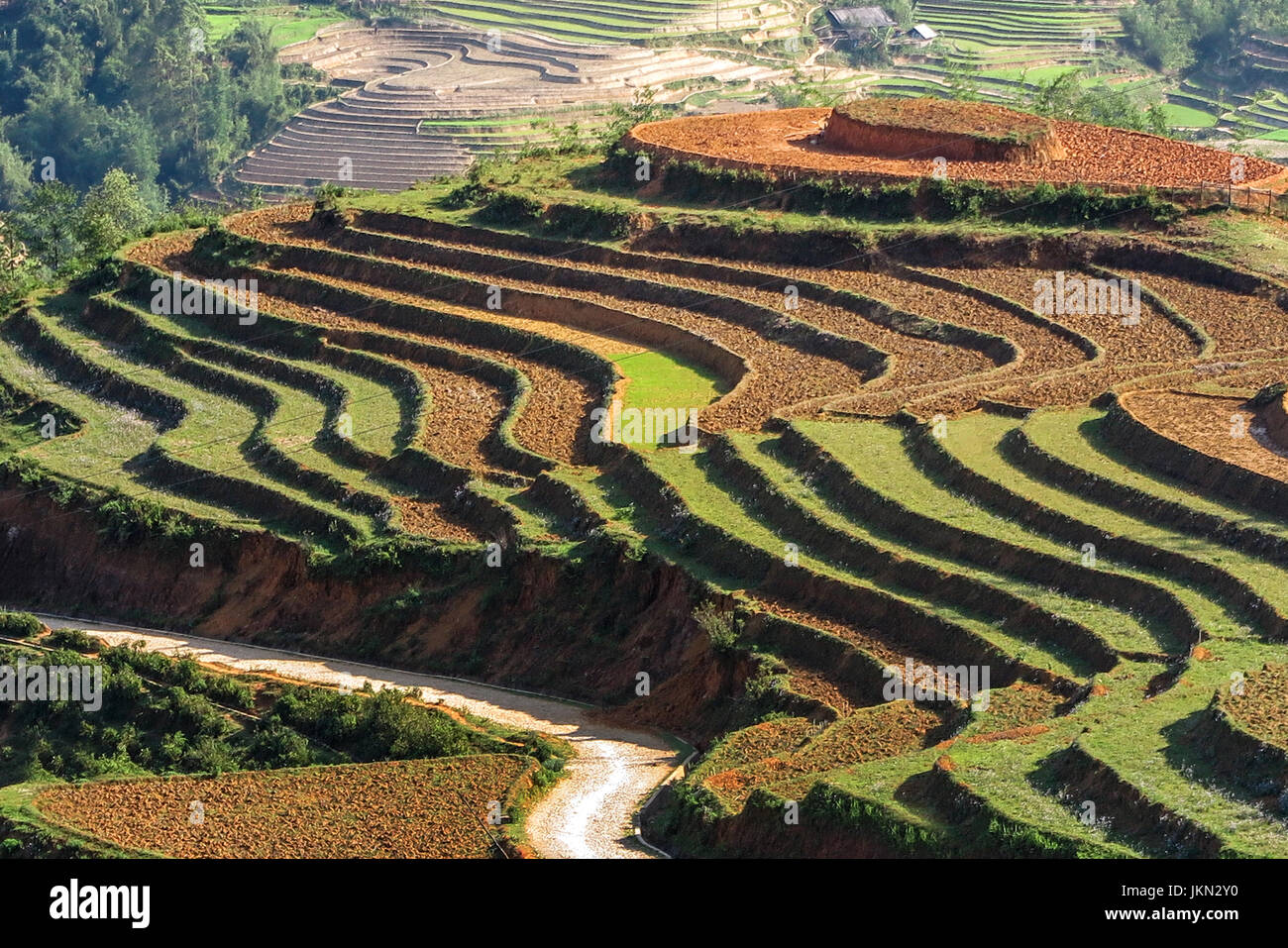 Scenic view of Rice paddies near Sapa, northern Vietnam Stock Photo - Alamy