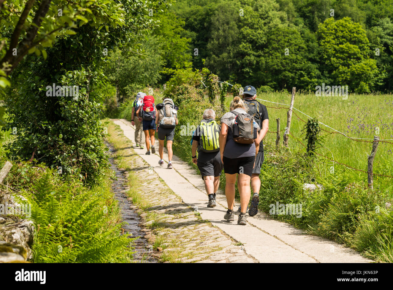 Pilgrims walking in the woods in the Galicia, Spain. Camino de Santiago ...