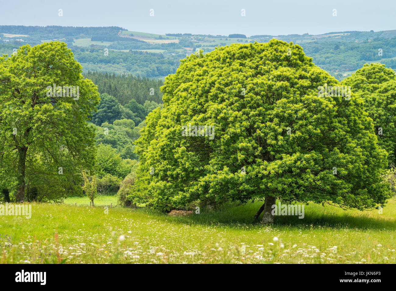 Landscape on the road between Villafranca del Bierzo and O Cebreiro ...