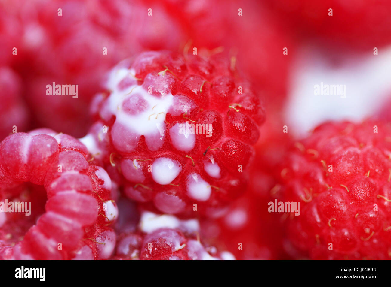 A background of ripe red raspberry with milk Stock Photo - Alamy