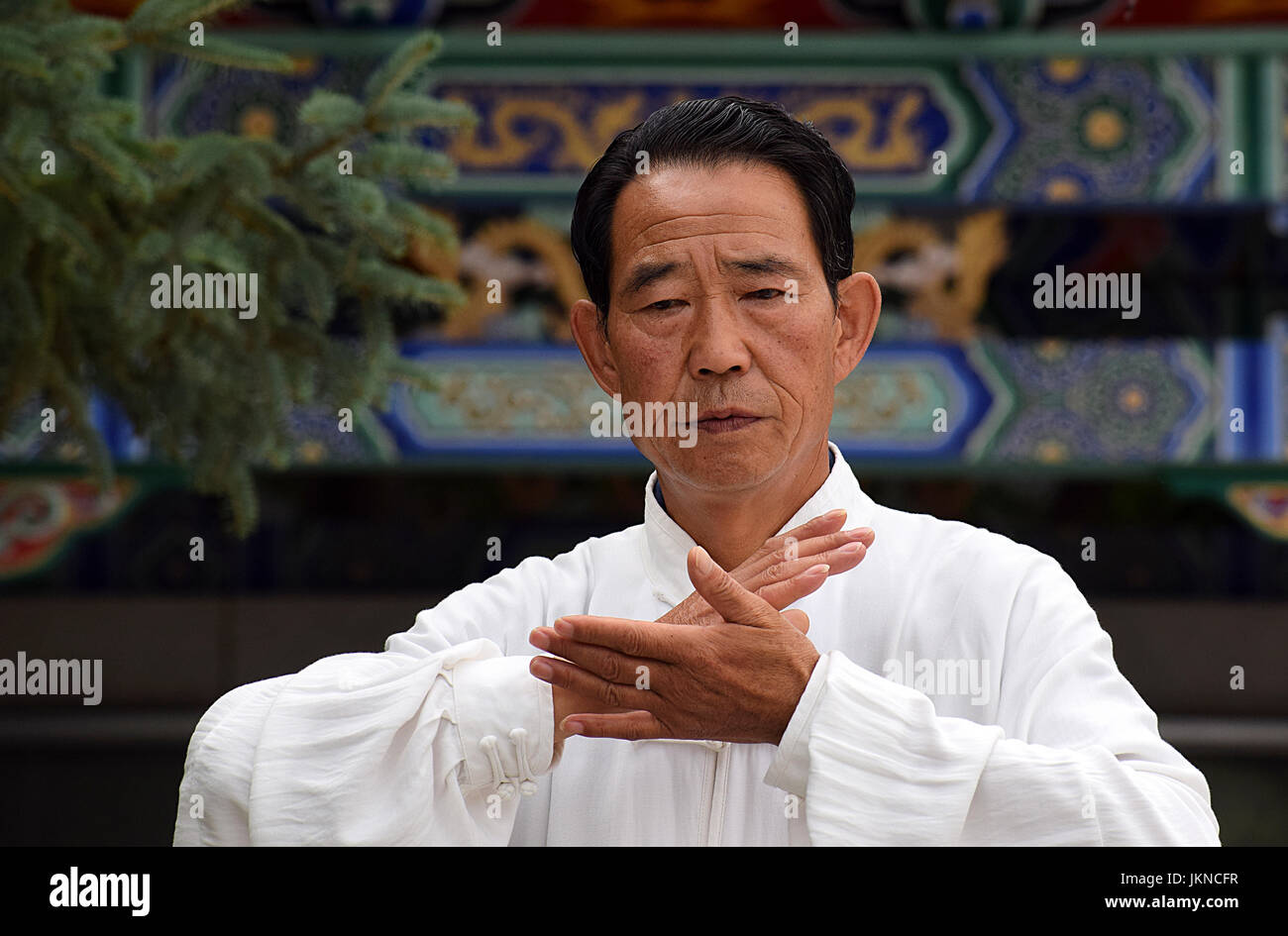 tai chi, chi kung, master Stock Photo - Alamy