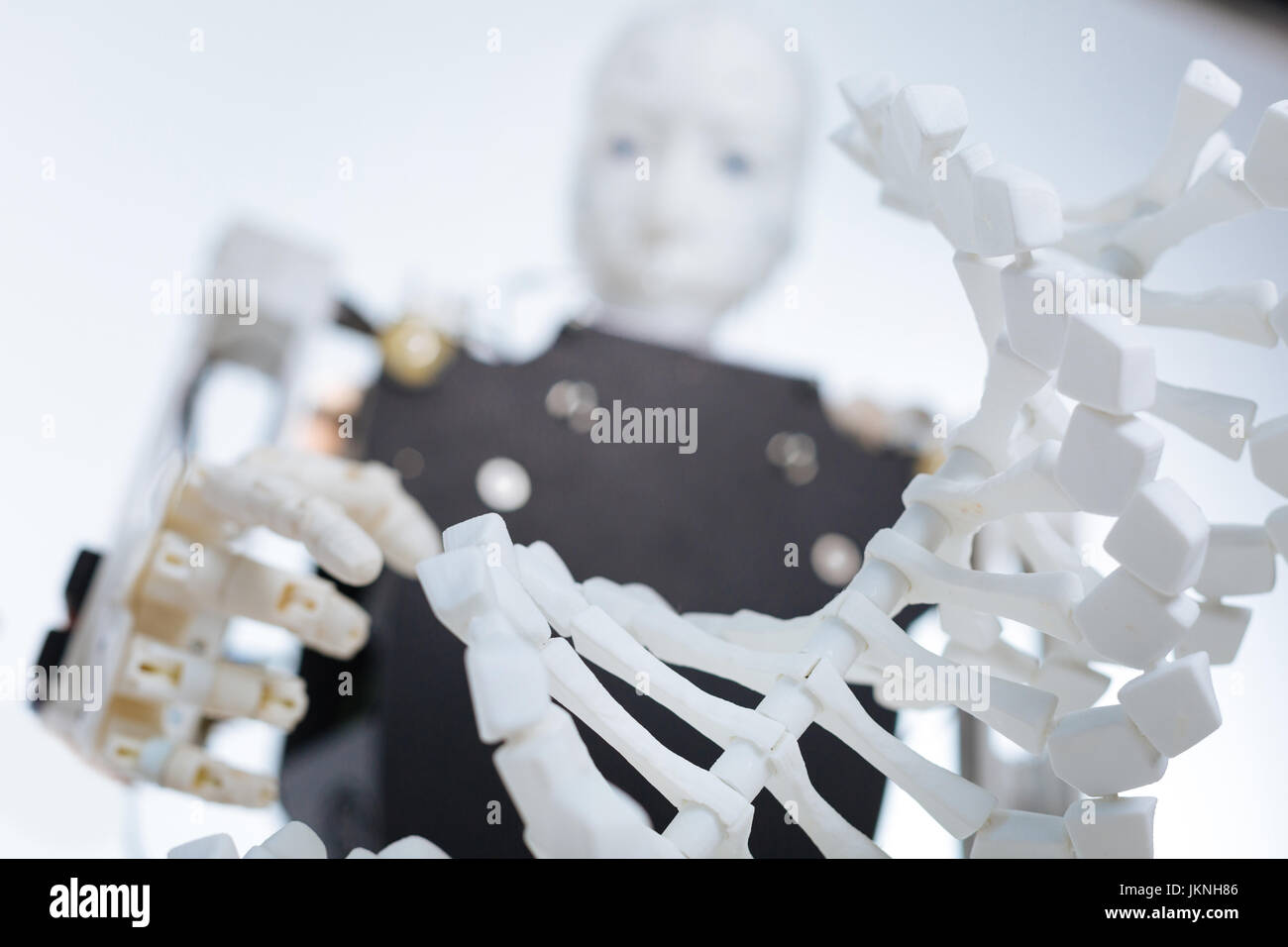 Picture of the robot and plastic genome model Stock Photo - Alamy
