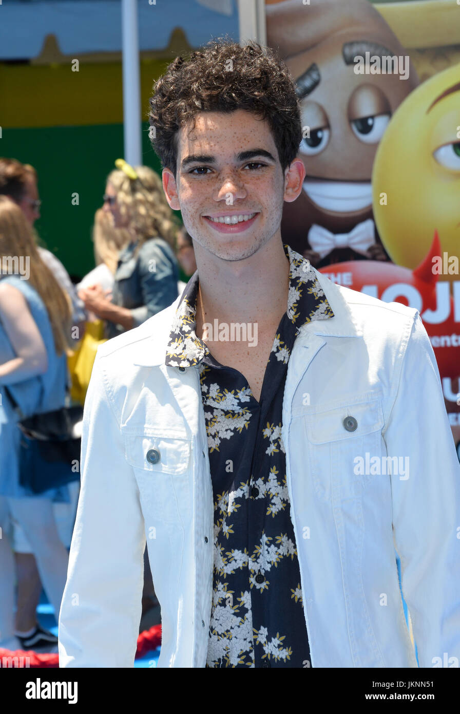 Los Angeles, USA. 23rd July, 2017. Actor Cameron Boyce at the world ...