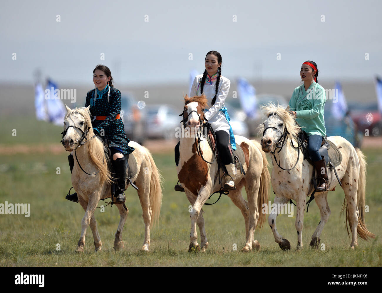 Mongolian Culture Horse