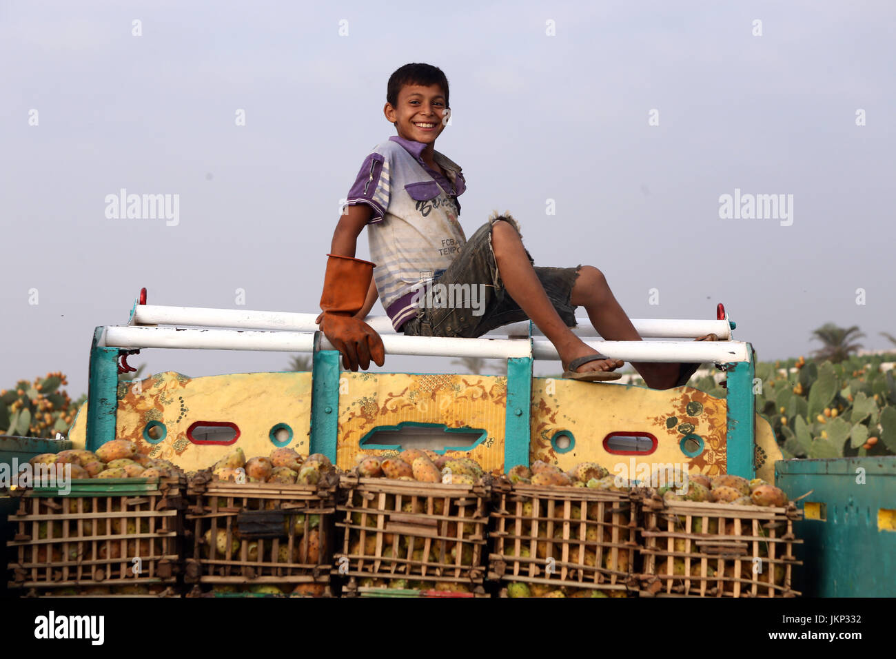 (170724) -- MONOFIYA (EGYPT), July 24, 2017 (Xinhua) -- An Egyptian boy ...