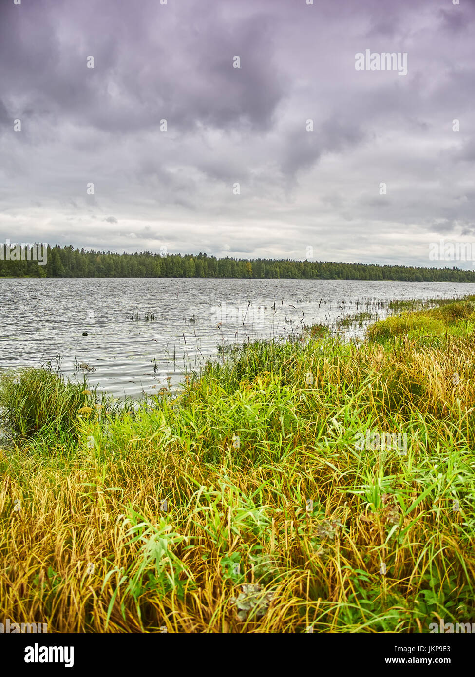 River in summer Stock Photo - Alamy