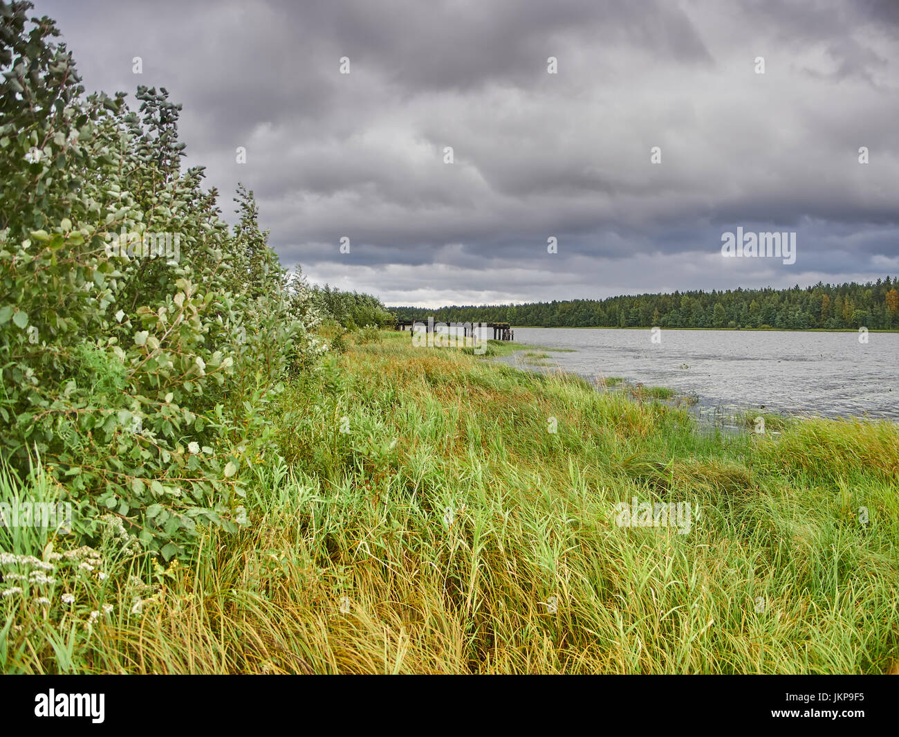 River in summer Stock Photo - Alamy