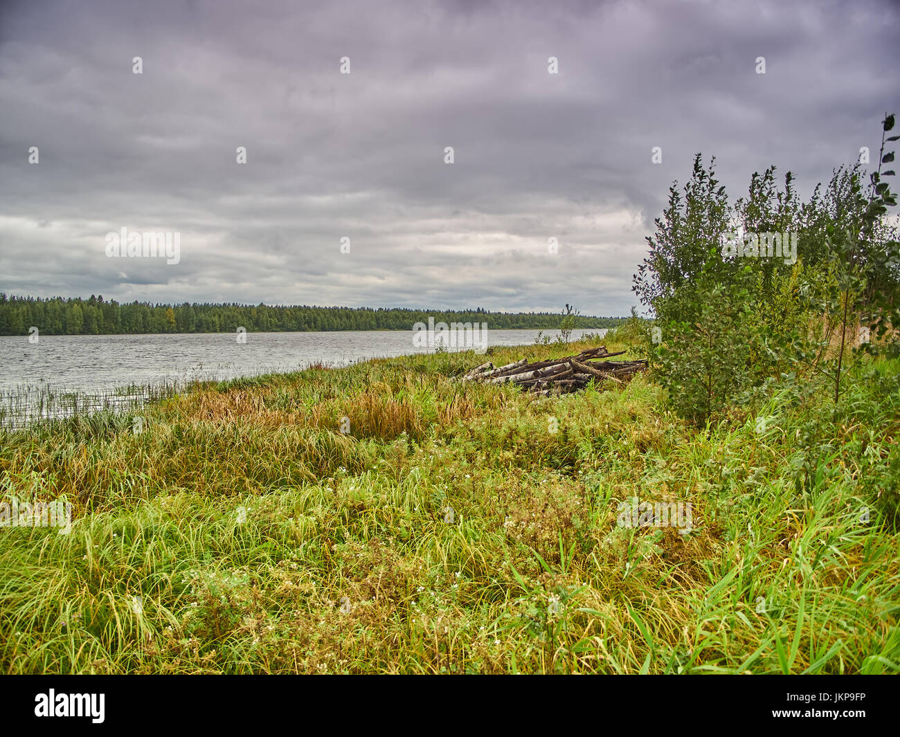 River in summer Stock Photo - Alamy