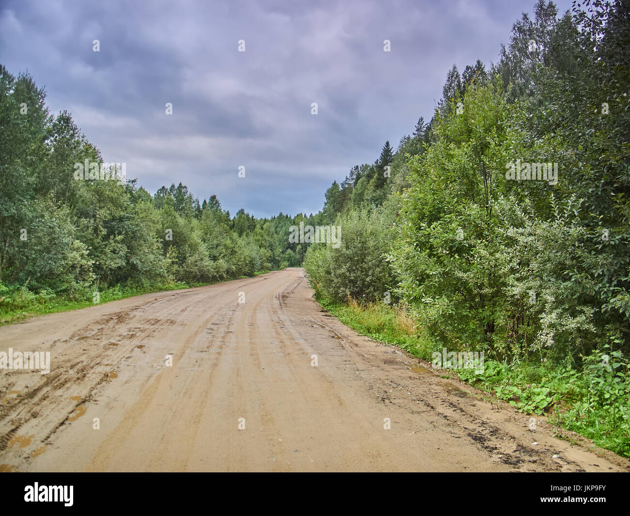 road in forest Stock Photo - Alamy