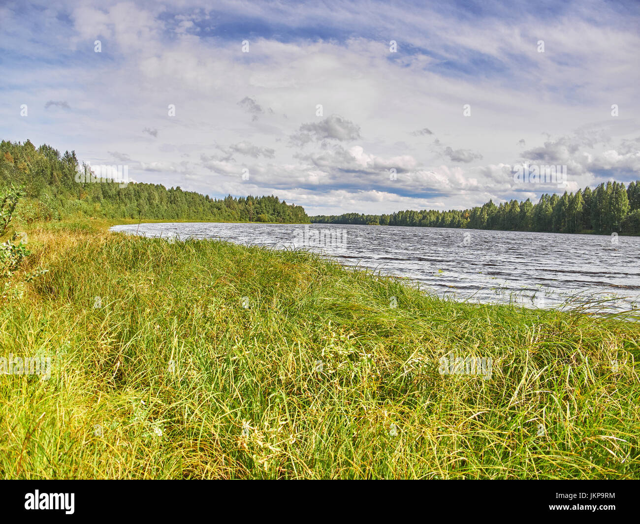 River in summer Stock Photo - Alamy