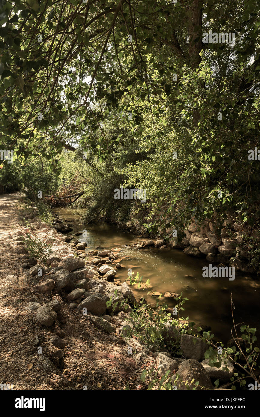 Stream in summer hi-res stock photography and images - Alamy