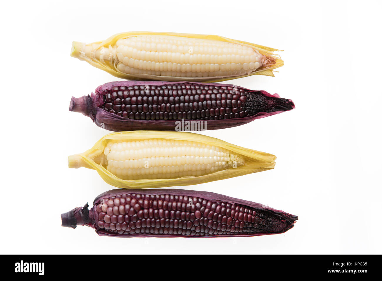 purple and white corn group isolated on white background Stock Photo ...