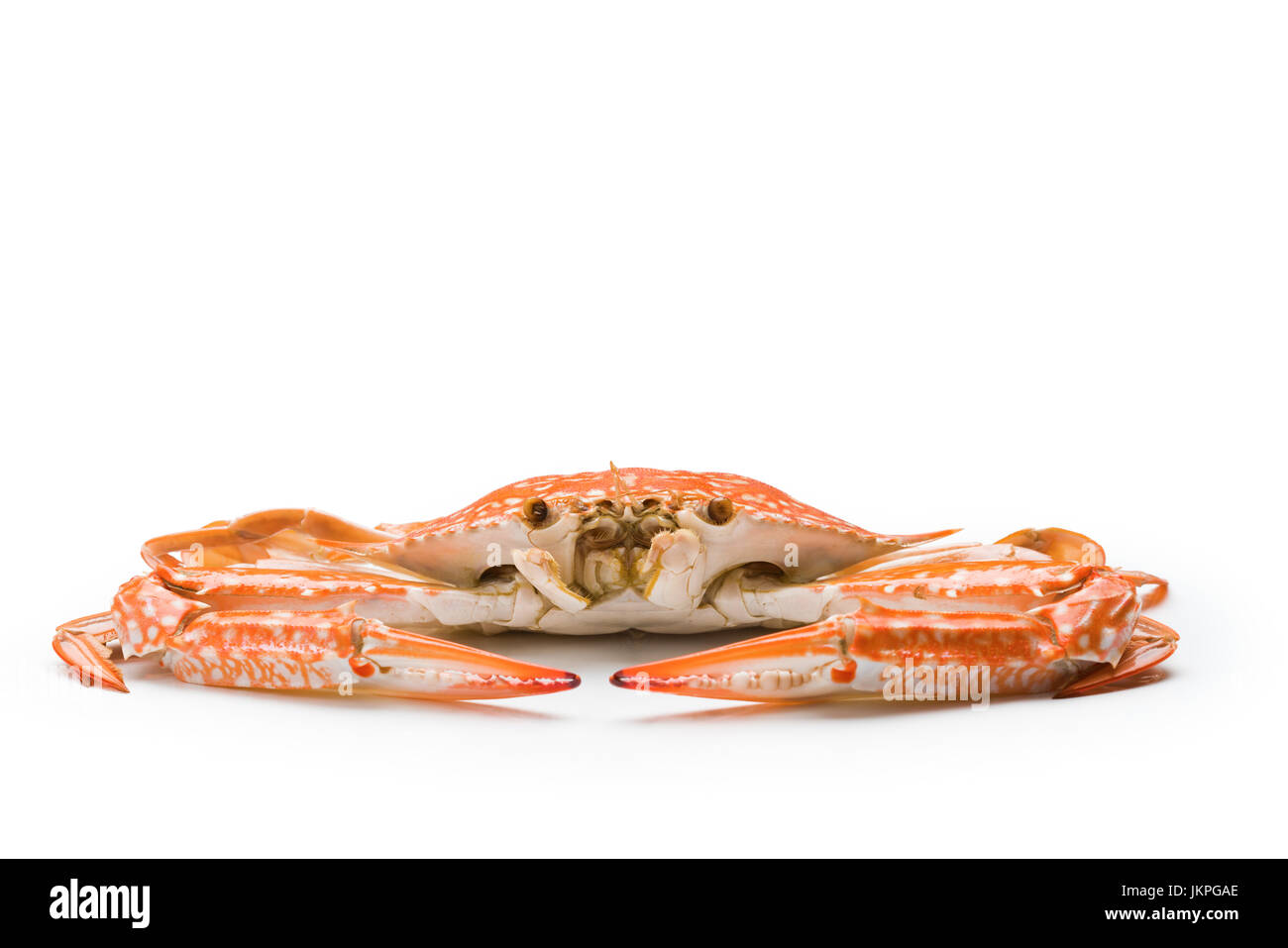 Crab steamed food fresh Cut Out Stock Images & Pictures - Alamy