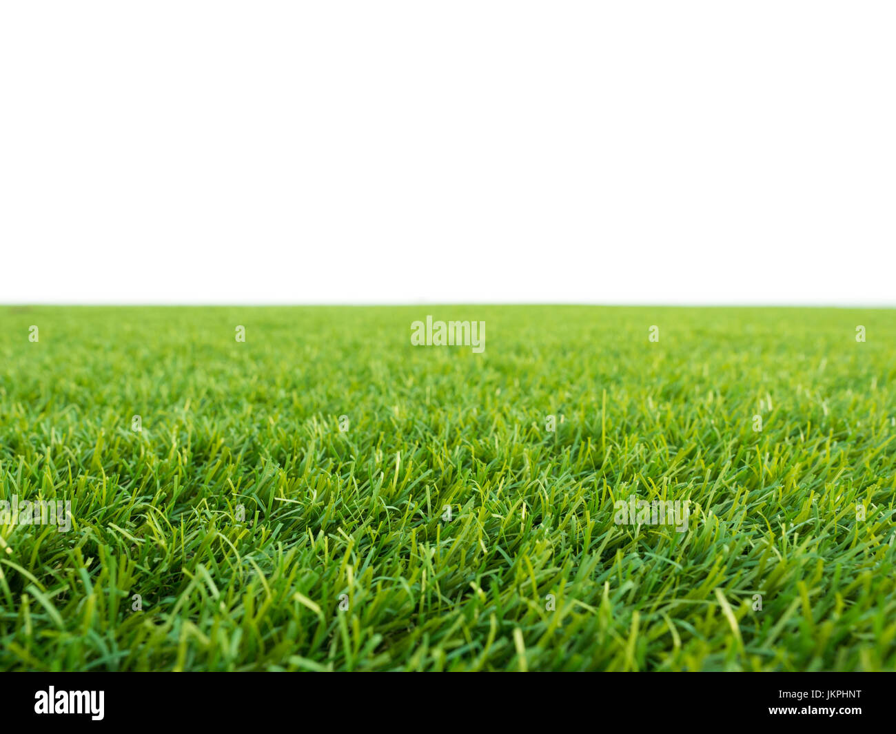 green grass on white background Stock Photo - Alamy