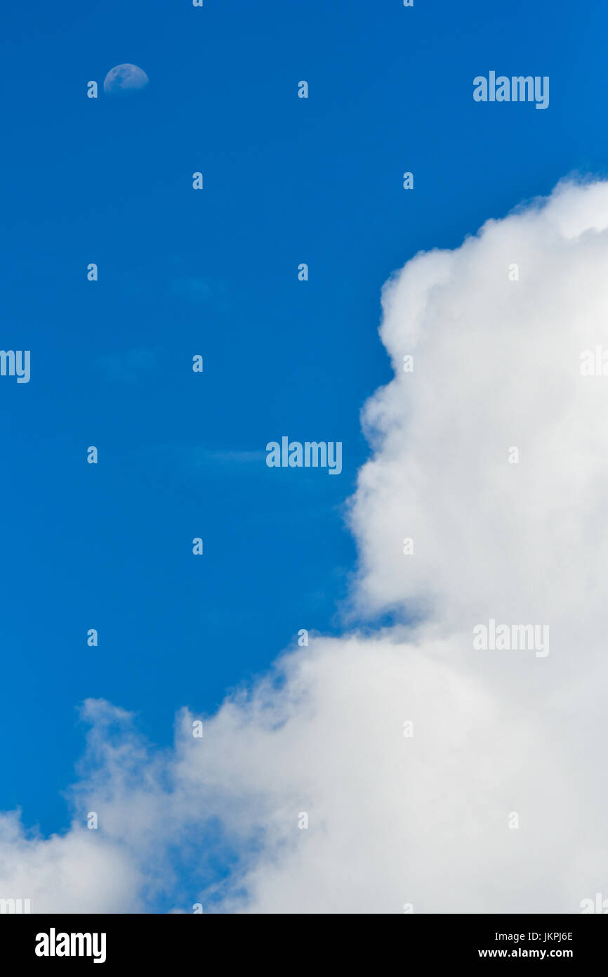 Dream character hi-res stock photography and images - Alamy